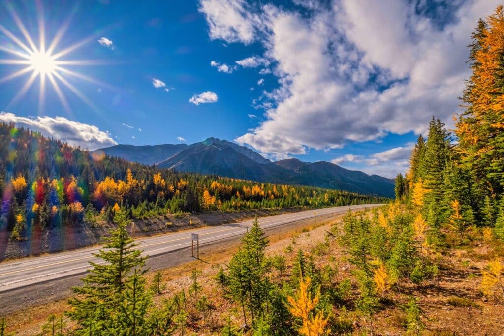 How to Enjoy the Fall Colors in Banff Without Hiking