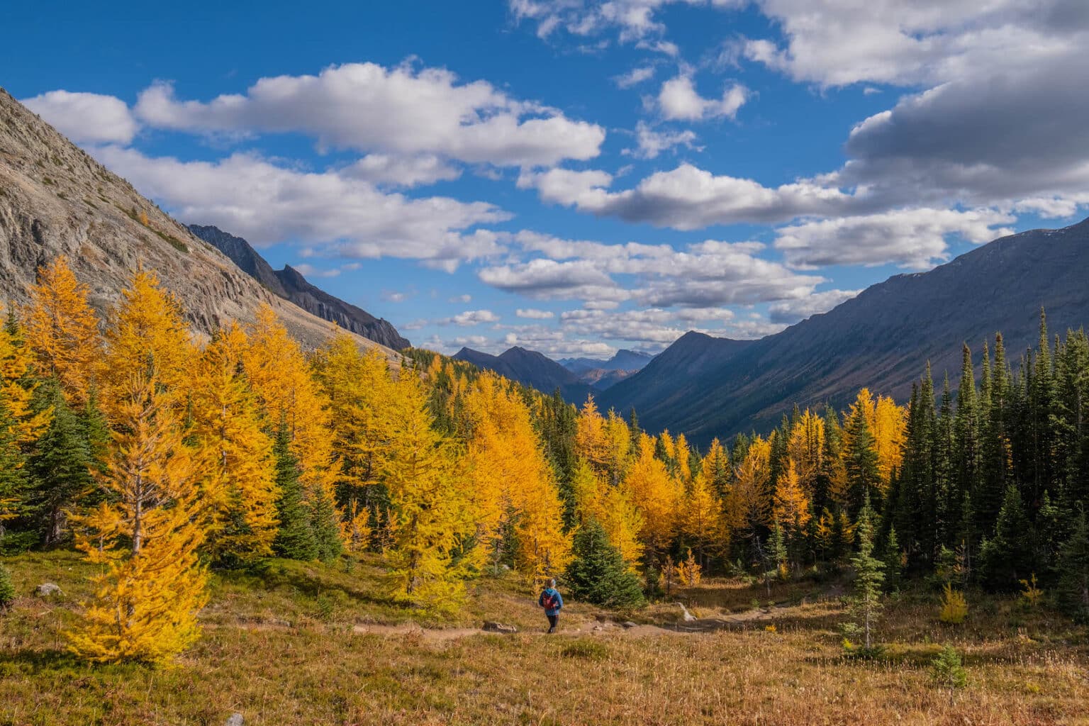 10 EASY Larch Hikes in Kananaskis & Banff
