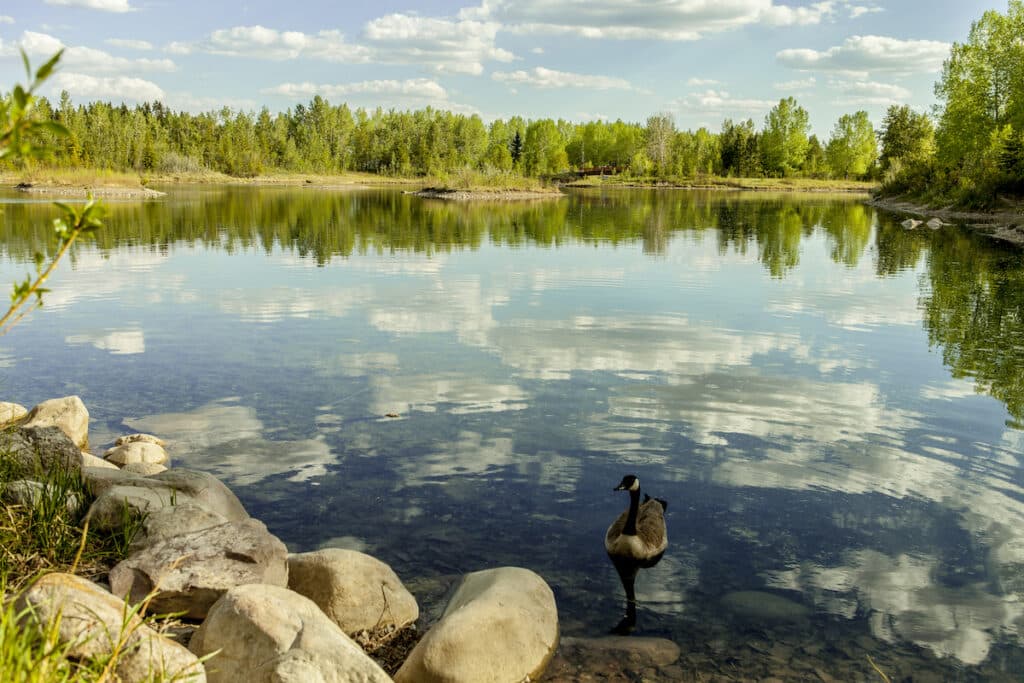 15 Best Things to Do in Red Deer, Alberta