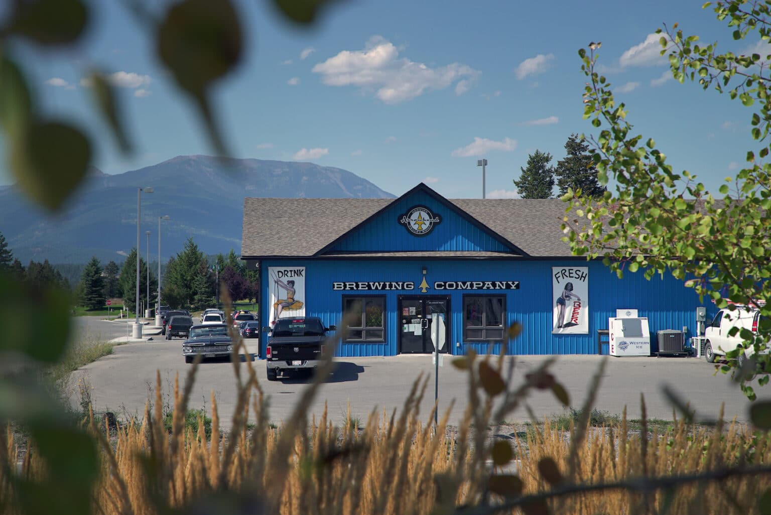 30 BEST Things to Do in Invermere, BC (2026)