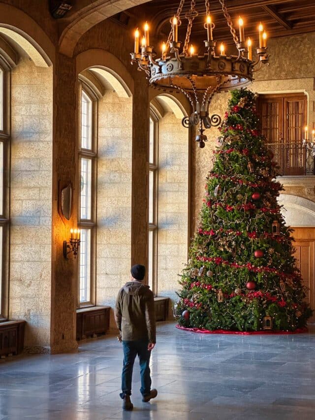 35 Magical Ways To Spend Christmas In Banff In 2023