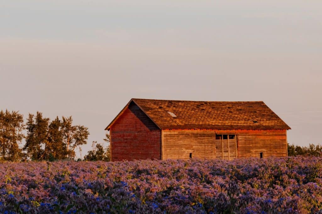 24 BEST Small Towns in Alberta