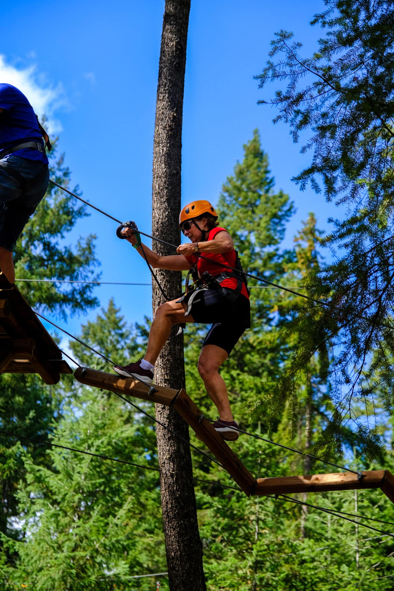The Golden Skybridge: 10 Things to Know