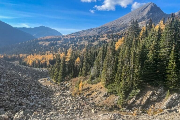 Arethusa Cirque Hike: The Best EASY Trail for Larches