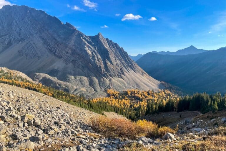 Arethusa Cirque Hike: The Best EASY Trail for Larches