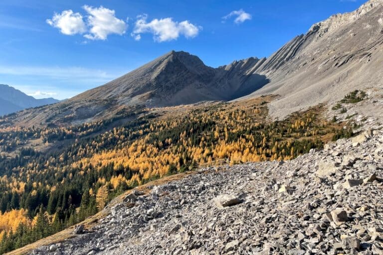 Arethusa Cirque Hike: The Best EASY Trail for Larches