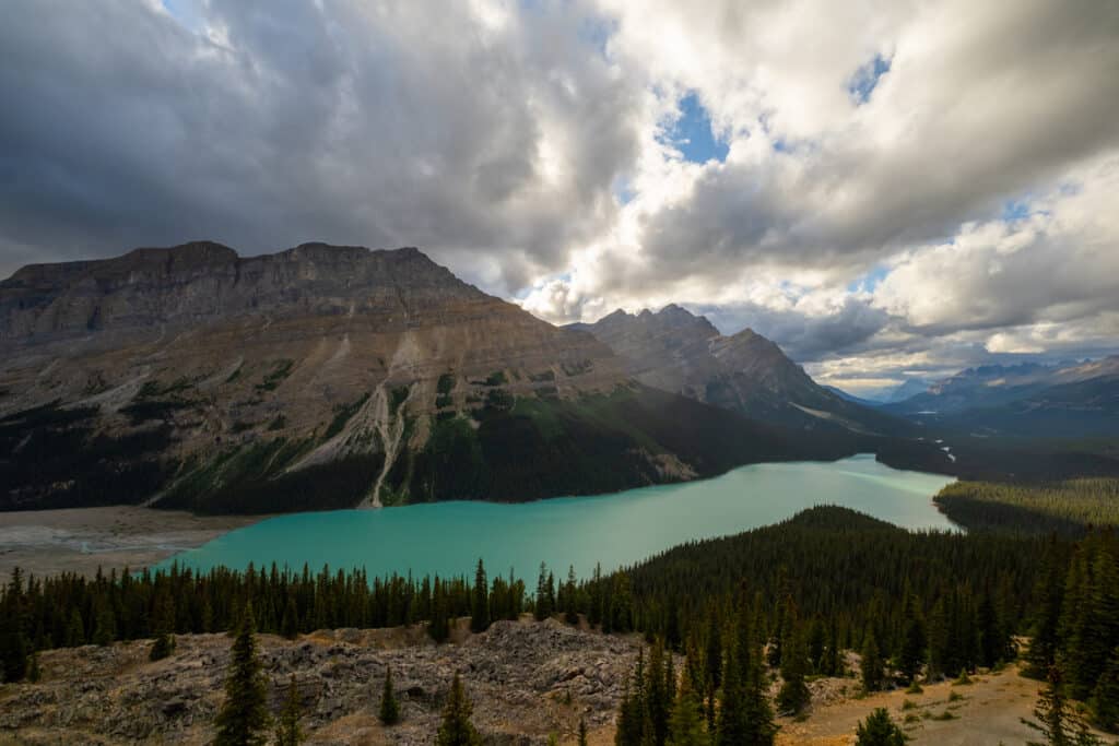 22 Things to Know BEFORE Visiting Peyto Lake