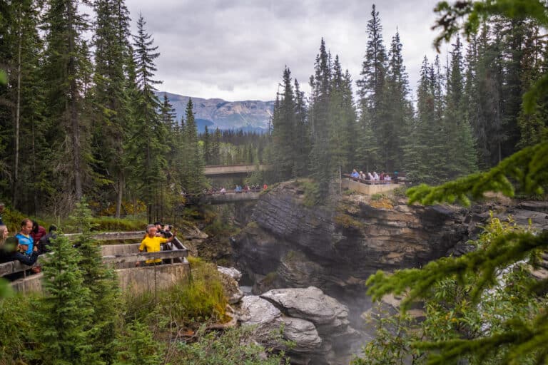 15 Things To Know BEFORE You Visit Athabasca Falls