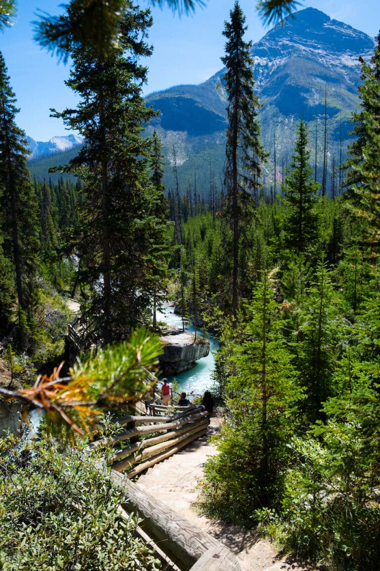 15 Things to Know BEFORE You Hike Marble Canyon Trail (Kootenay)