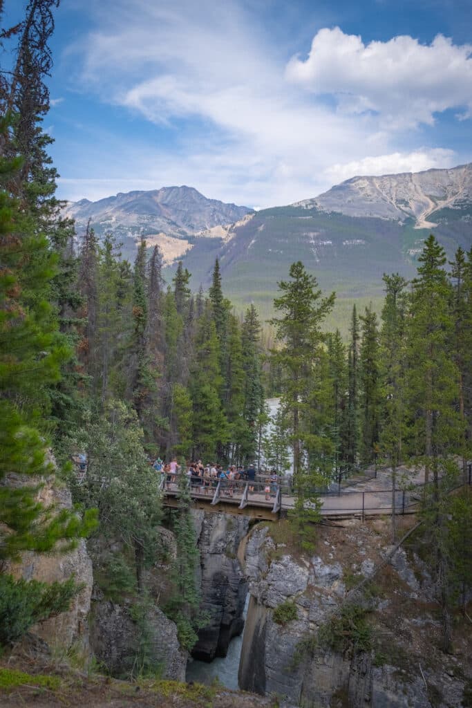 Sunwapta Falls: Things to Know Before Visiting