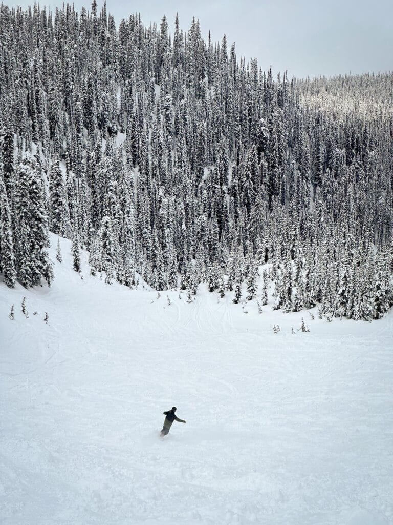 Revelstoke Mountain Resort: What You Need To Know