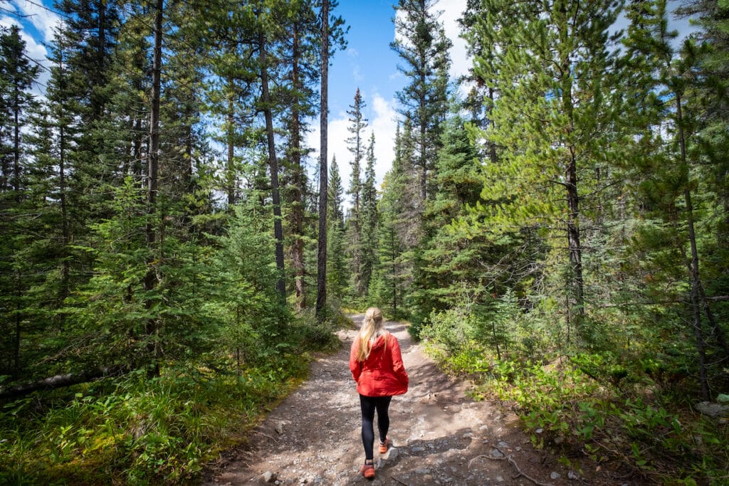 Things to Know BEFORE Visiting Mistaya Canyon