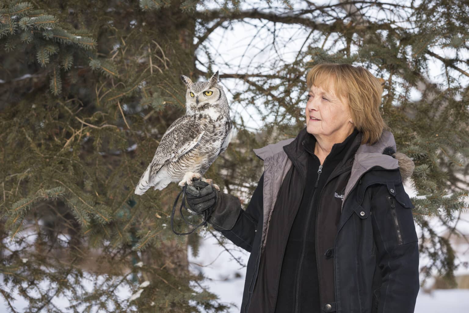 16 BEST Stops On the Drive From Calgary to Edmonton (Direct Route)