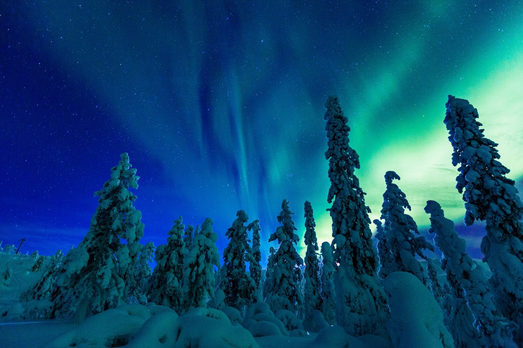 Where & How To See Northern Lights In Alberta