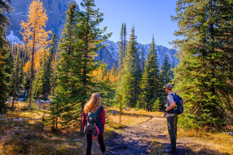 How to Hike to Taylor Lake in Banff