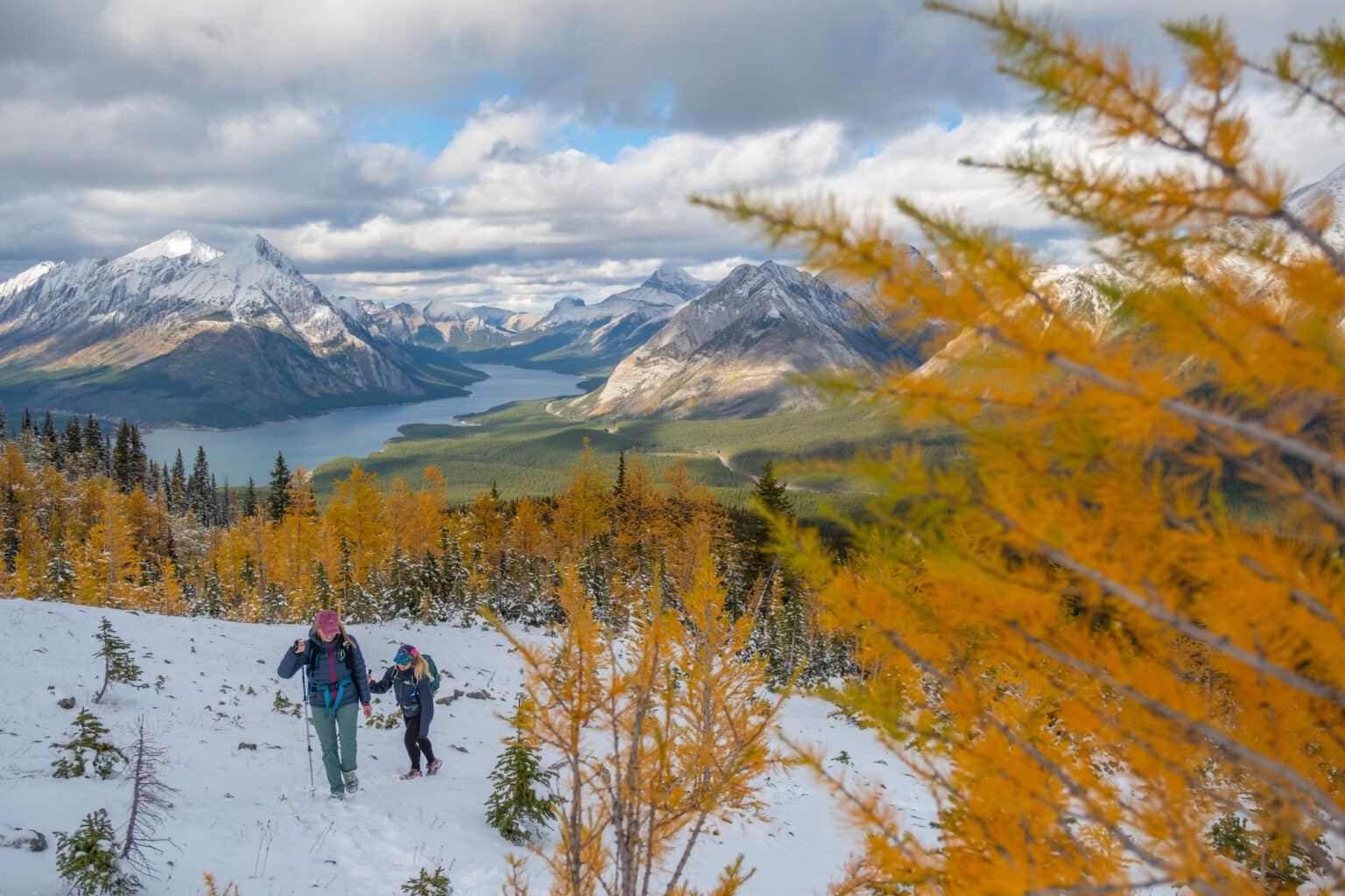 How to Hike Tent Ridge Trail in Kananaskis Country