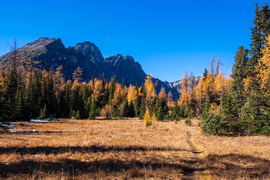 How to Hike to Taylor Lake in Banff
