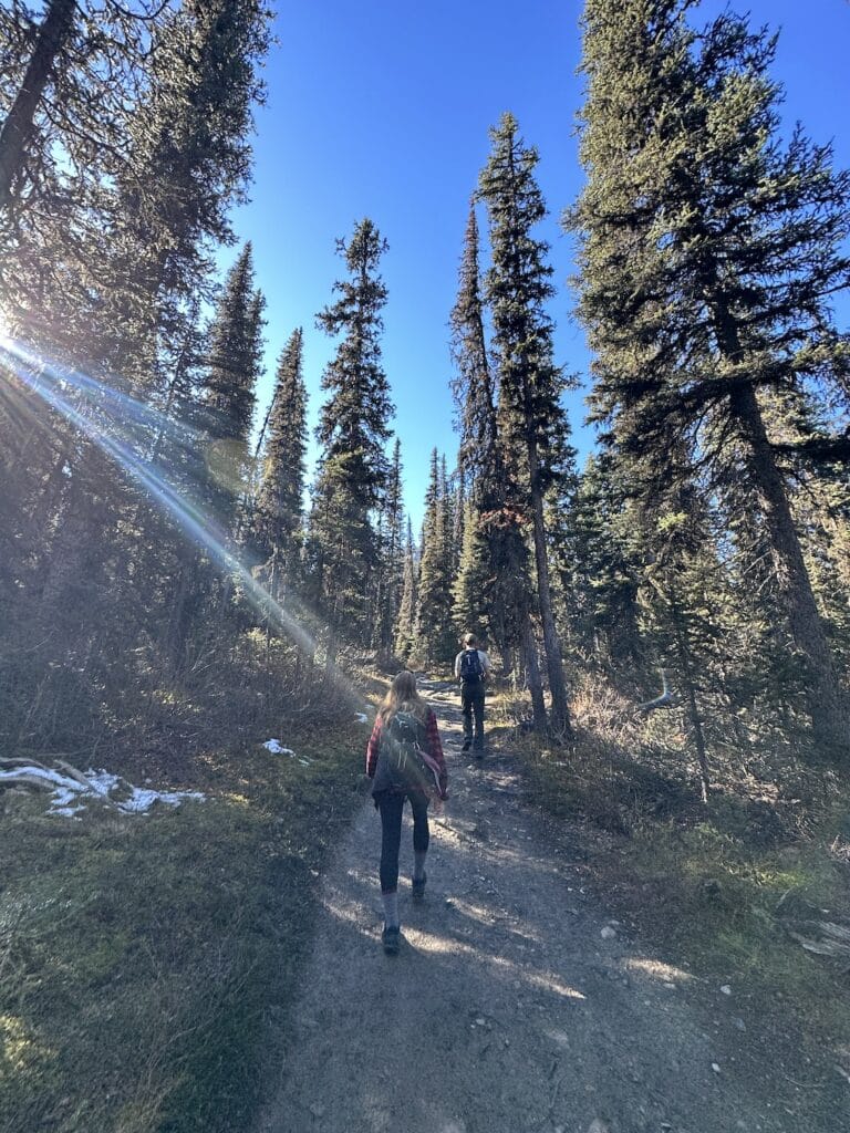 How to Hike to Taylor Lake in Banff