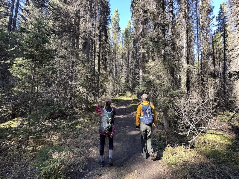 How to Hike to Taylor Lake in Banff