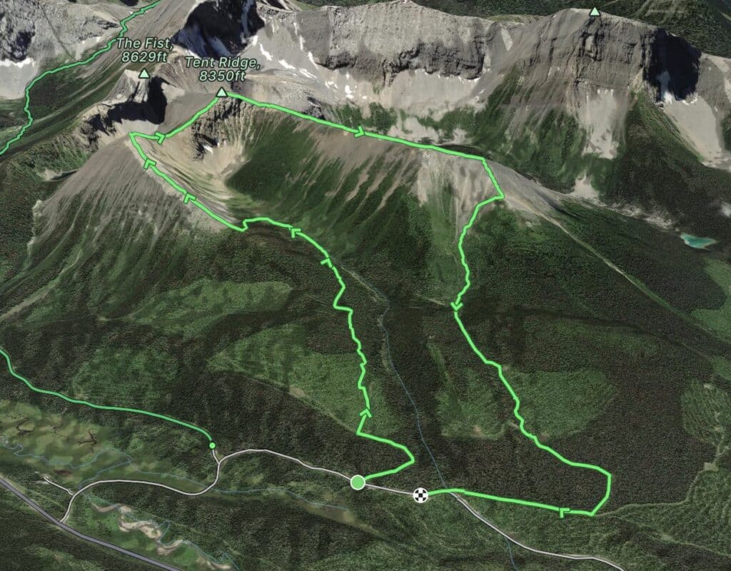 How to Hike Tent Ridge Trail in Kananaskis Country