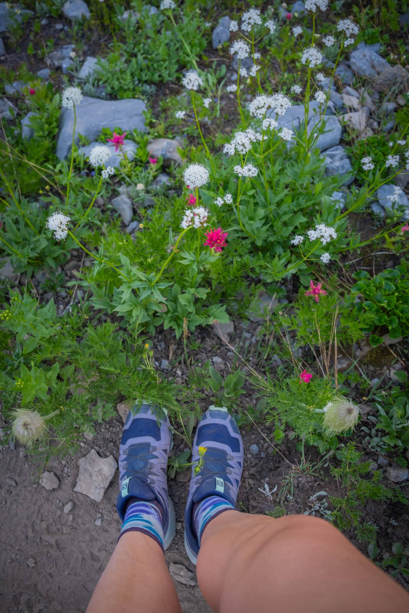 How to Hike Burstall Pass in Kananaskis Country