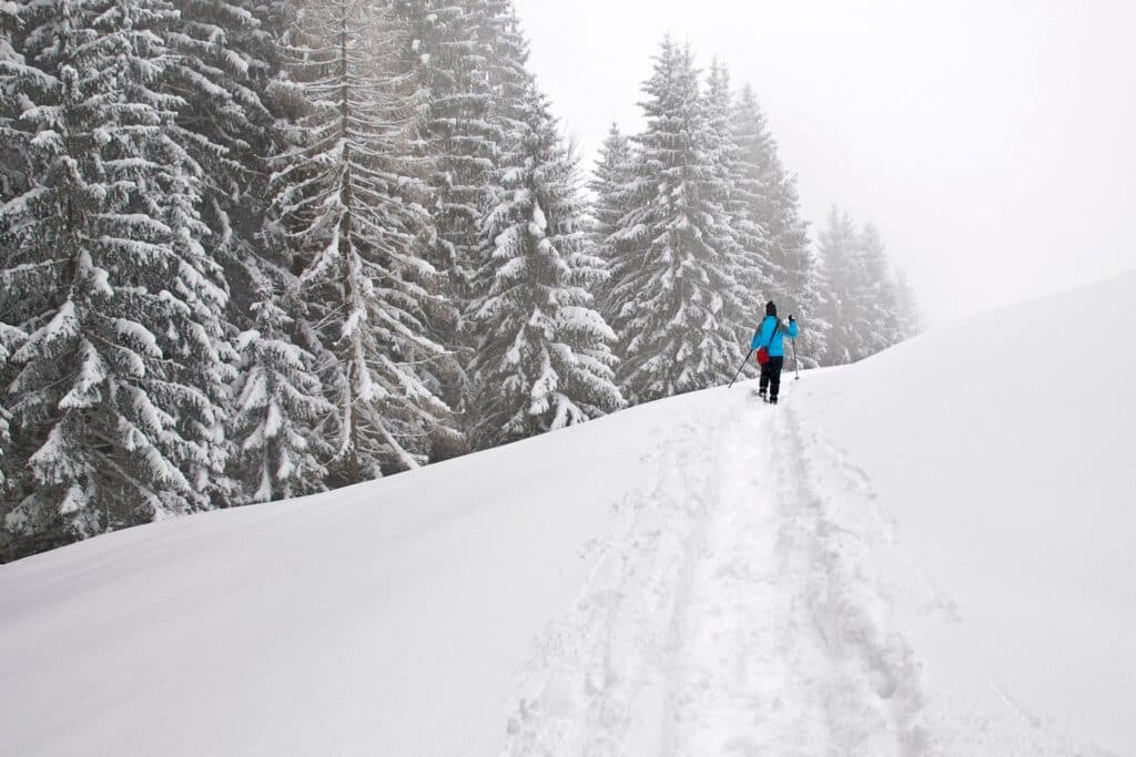 11 BEST Things to do in Golden, BC in Winter (2026)