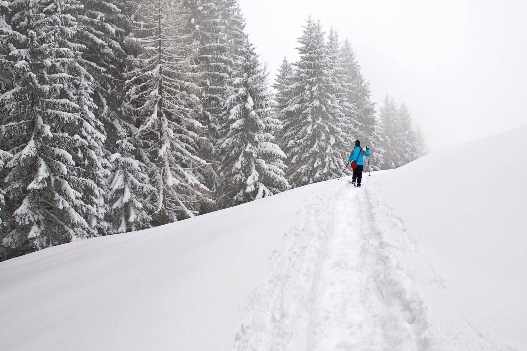 11 BEST Things to do in Golden, BC in Winter (2026)