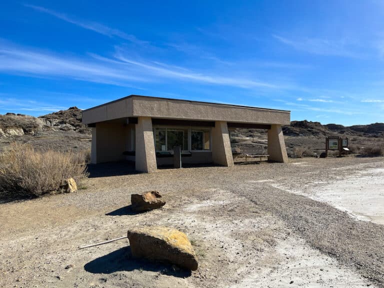 Ultimate Guide to Dinosaur Provincial Park