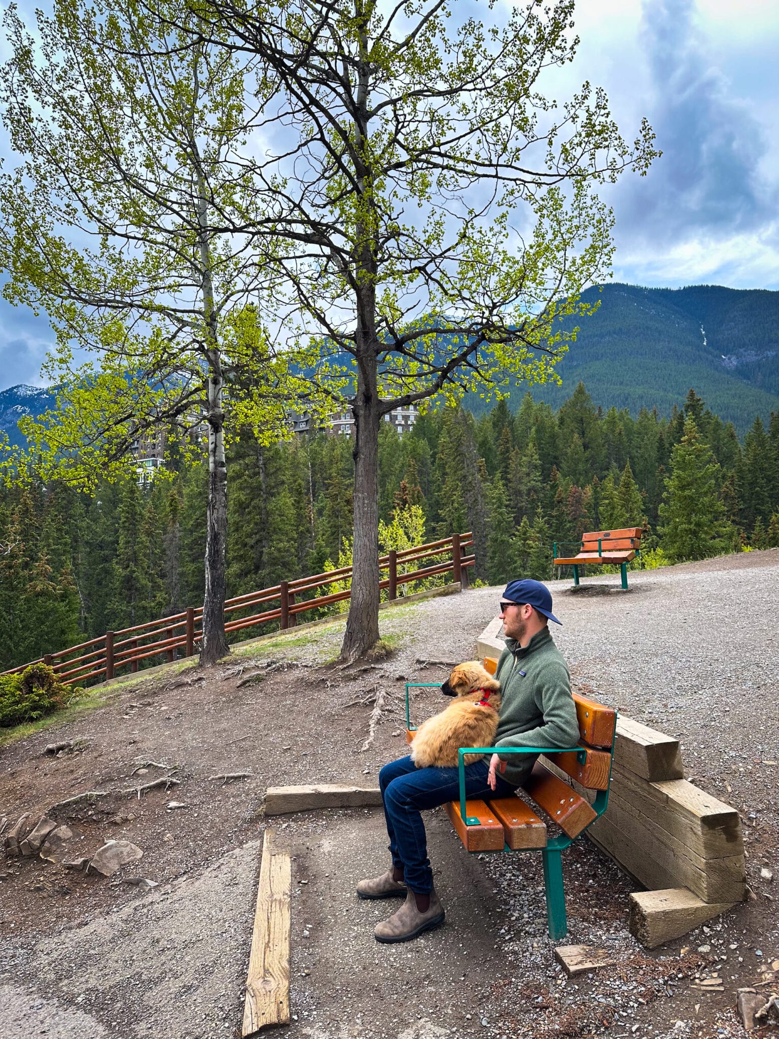 ULTIMATE Guide to Visiting Bow Falls in Banff