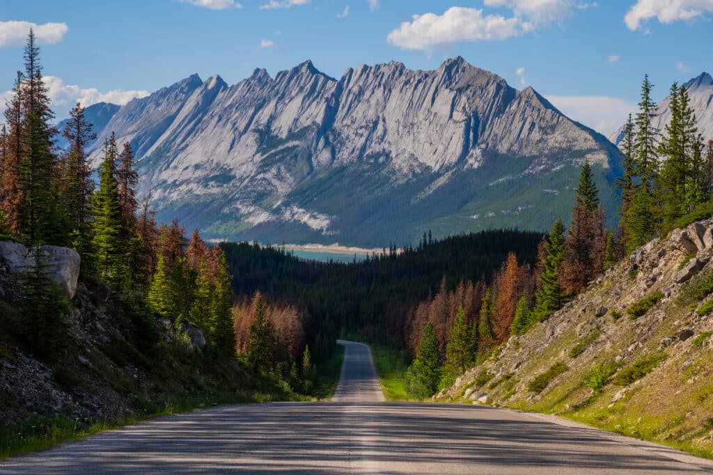 Maligne Lake Road • Tips For Jasper's Most Scenic Drive
