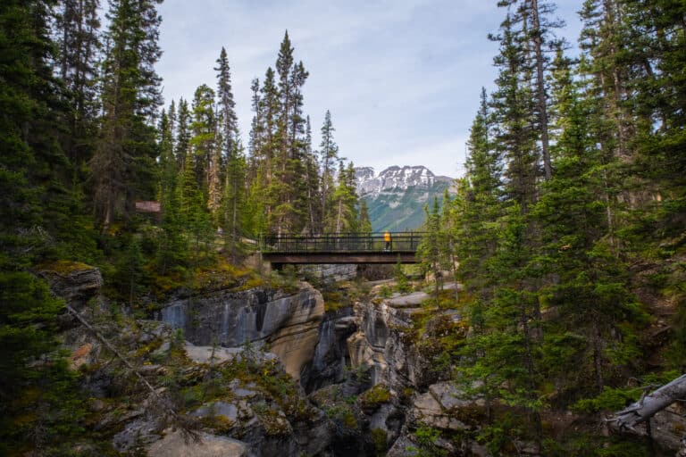 Things to Know BEFORE Visiting Mistaya Canyon