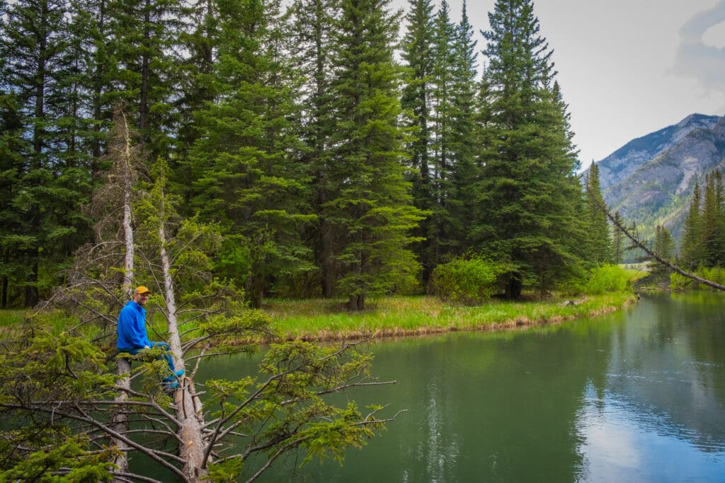 30 EASY Hikes In Banff For The Whole Family