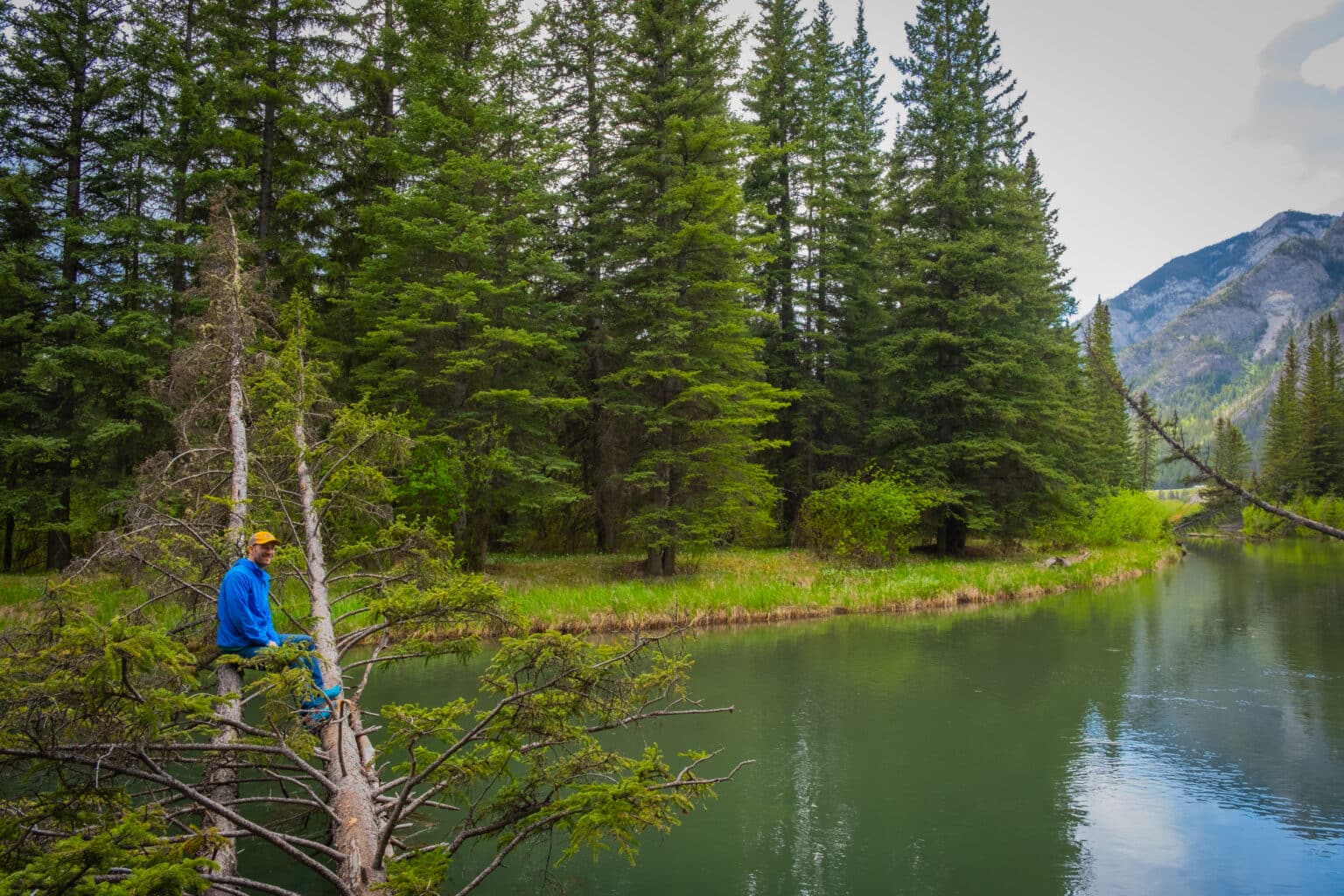 30 EASY Hikes In Banff For The Whole Family
