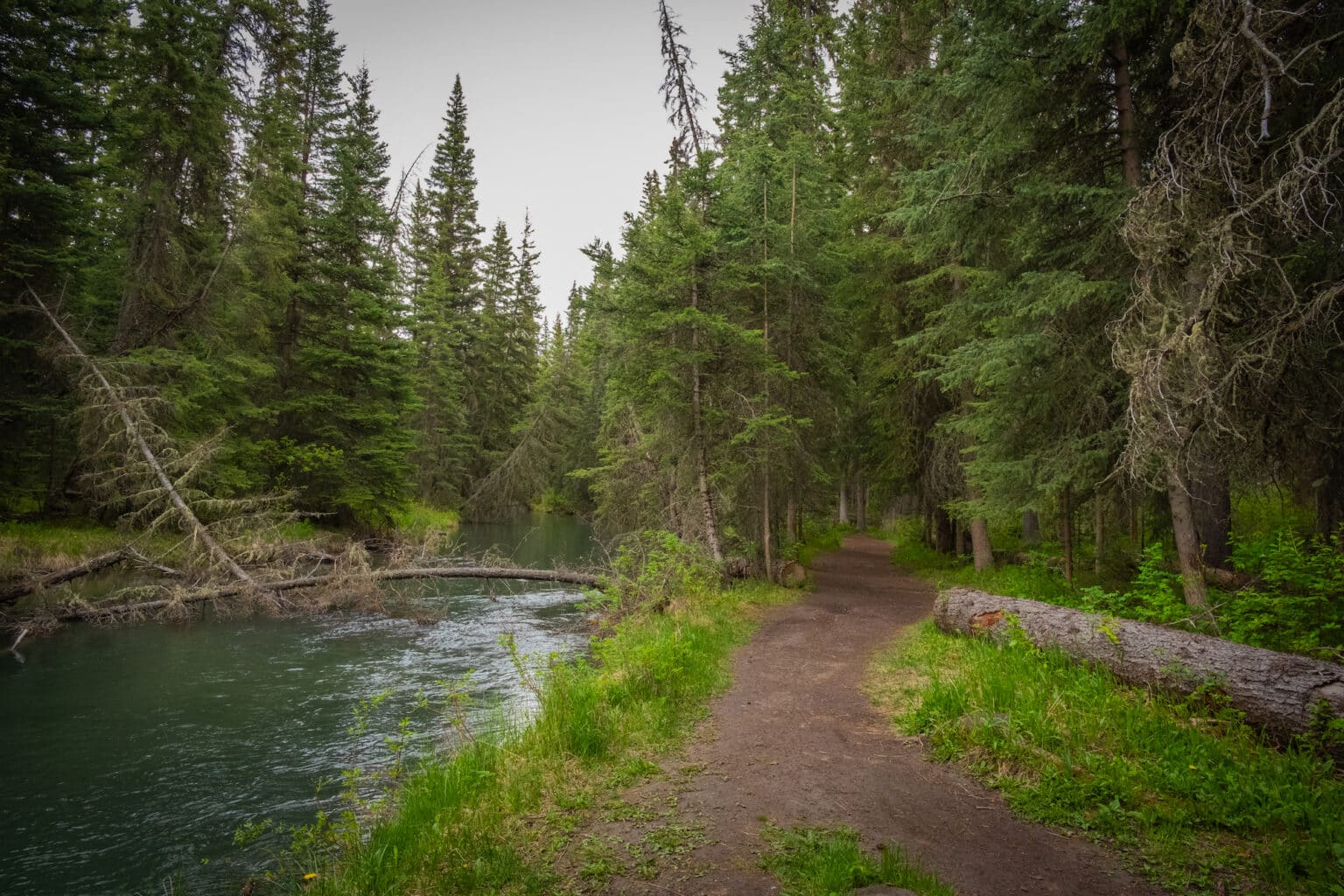 30 EASY Hikes In Banff For The Whole Family
