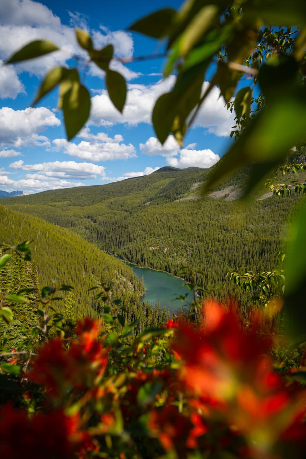 16 Banff Viewpoints That Don't Require ANY Hiking