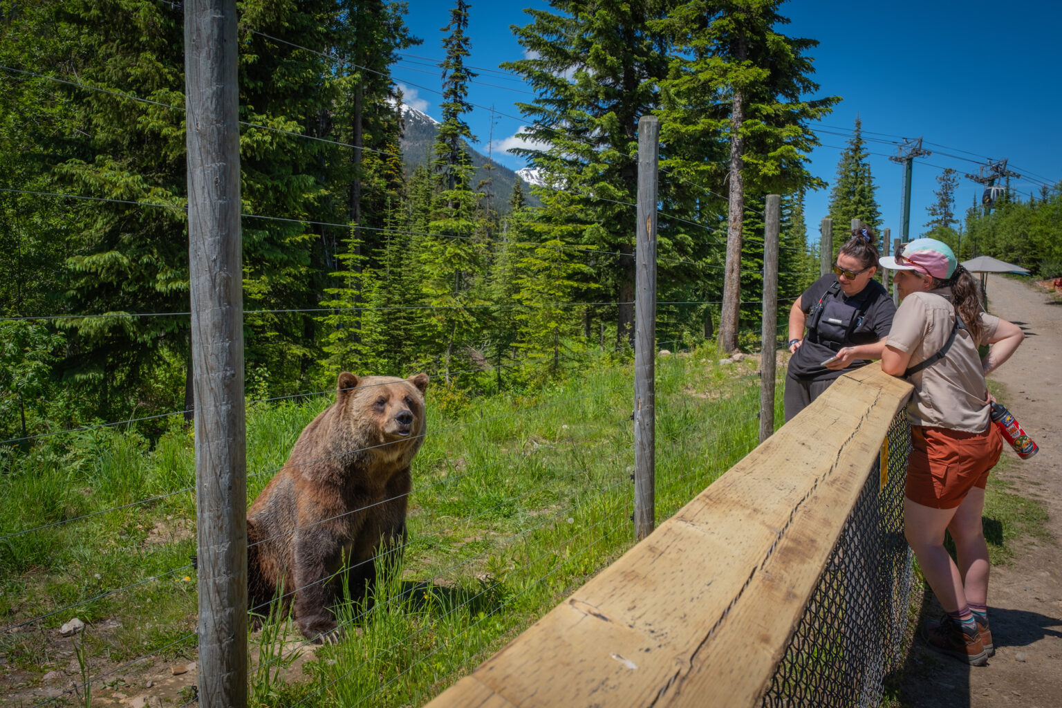 Golden vs Banff • A Mountain Town That Saves a Buck
