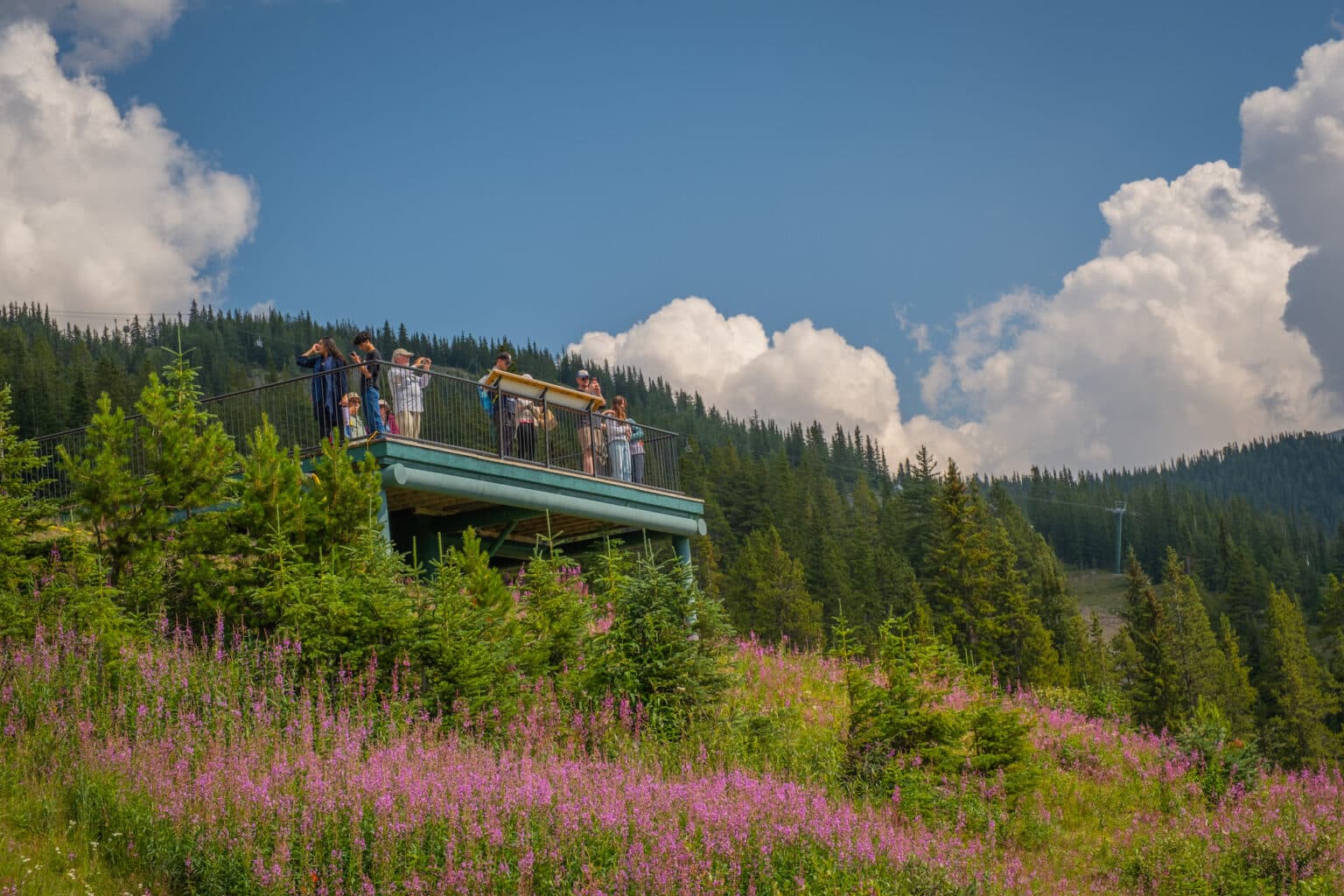 Is the Lake Louise Summer Gondola Worth It?