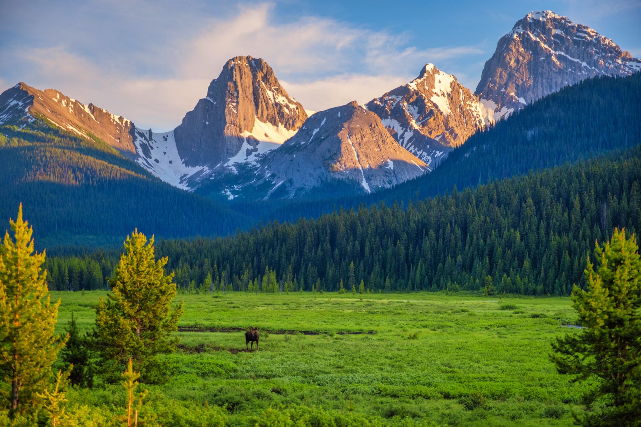 A Guide to Purchasing a Kananaskis Conservation Pass