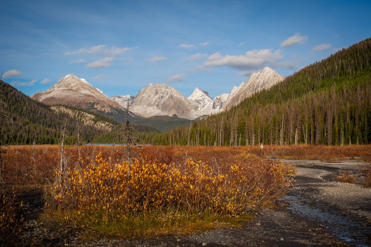 How to Hike Burstall Pass in Kananaskis Country