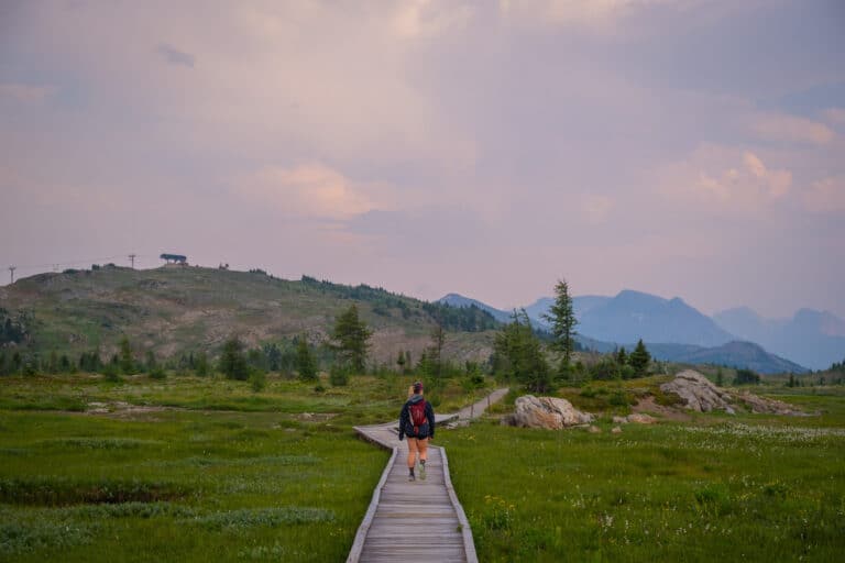 ULTIMATE Banff Gondola Comparison Guide