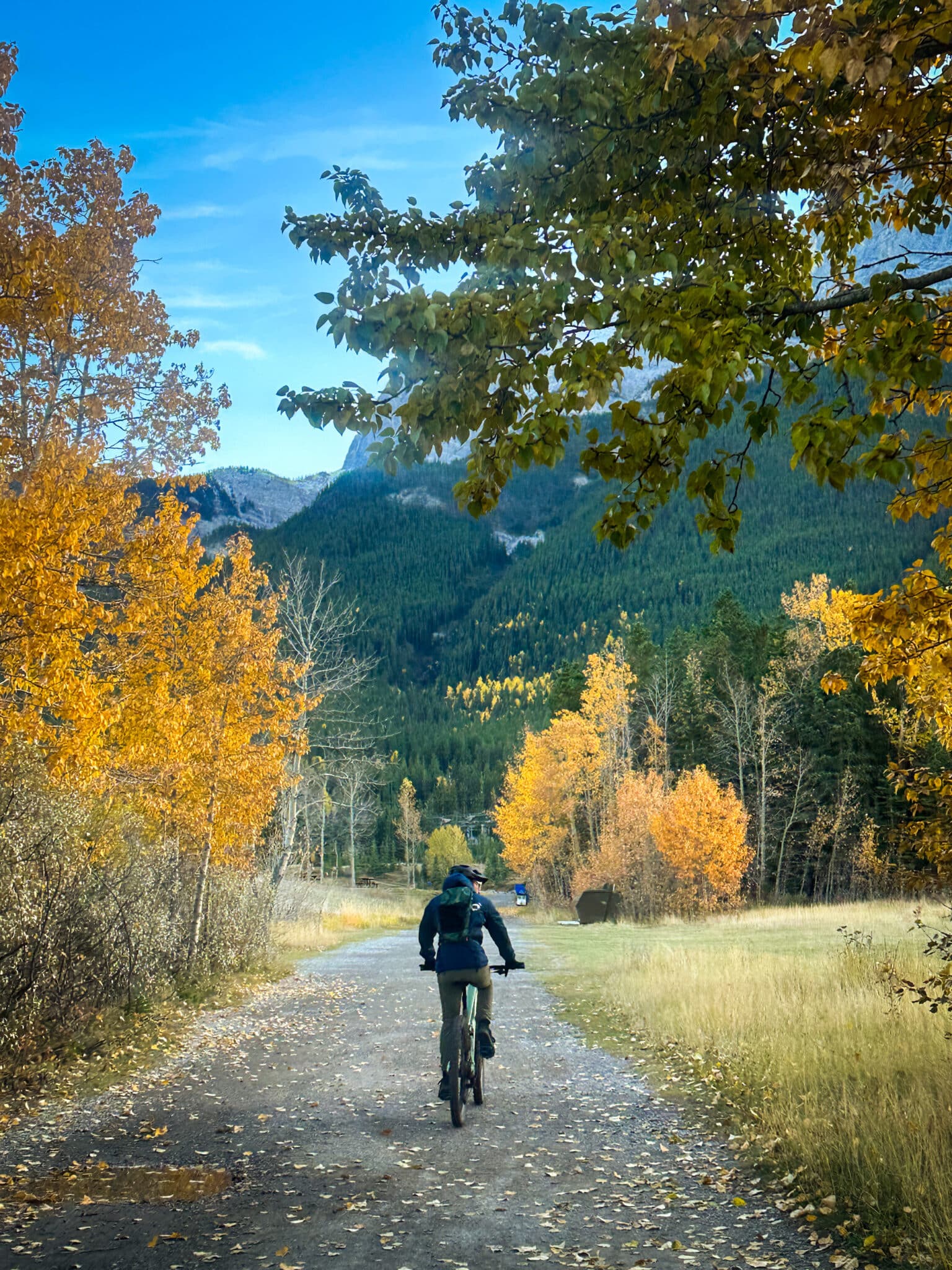How to Enjoy the Fall Colors in Banff Without Hiking