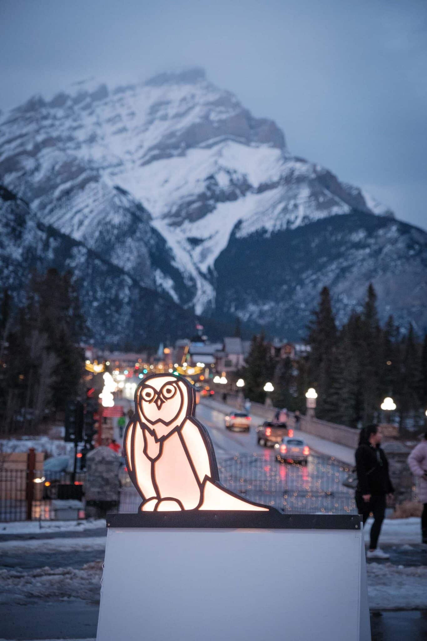 In Search of Christmas Spirit