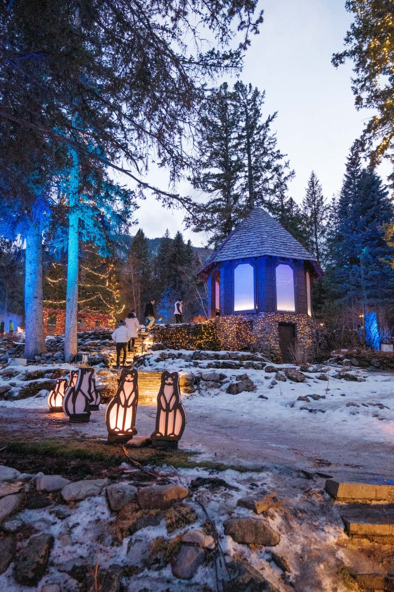 In Search of Christmas Spirit