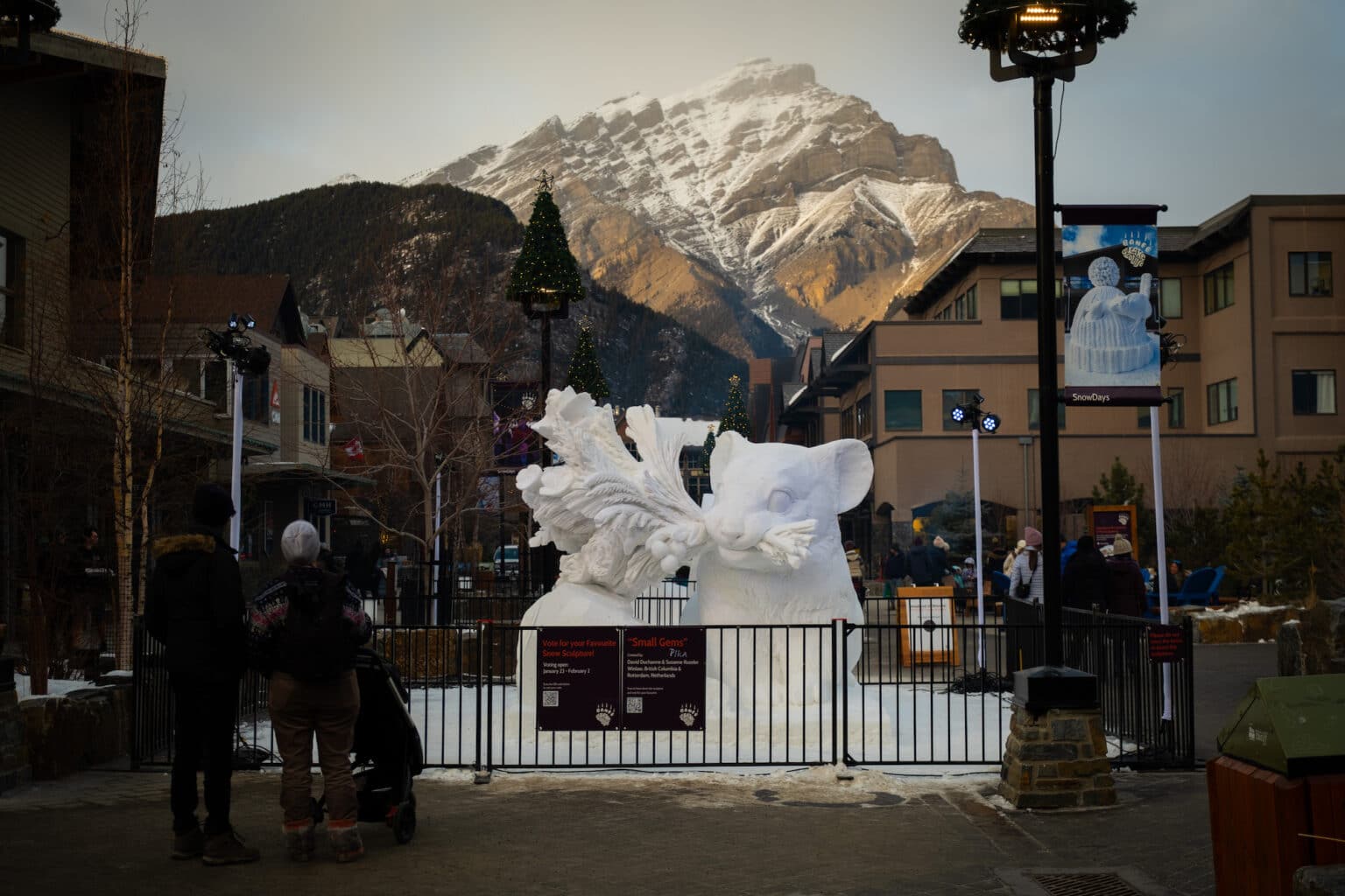 Visiting Banff in February? Here’s All You NEED to Know