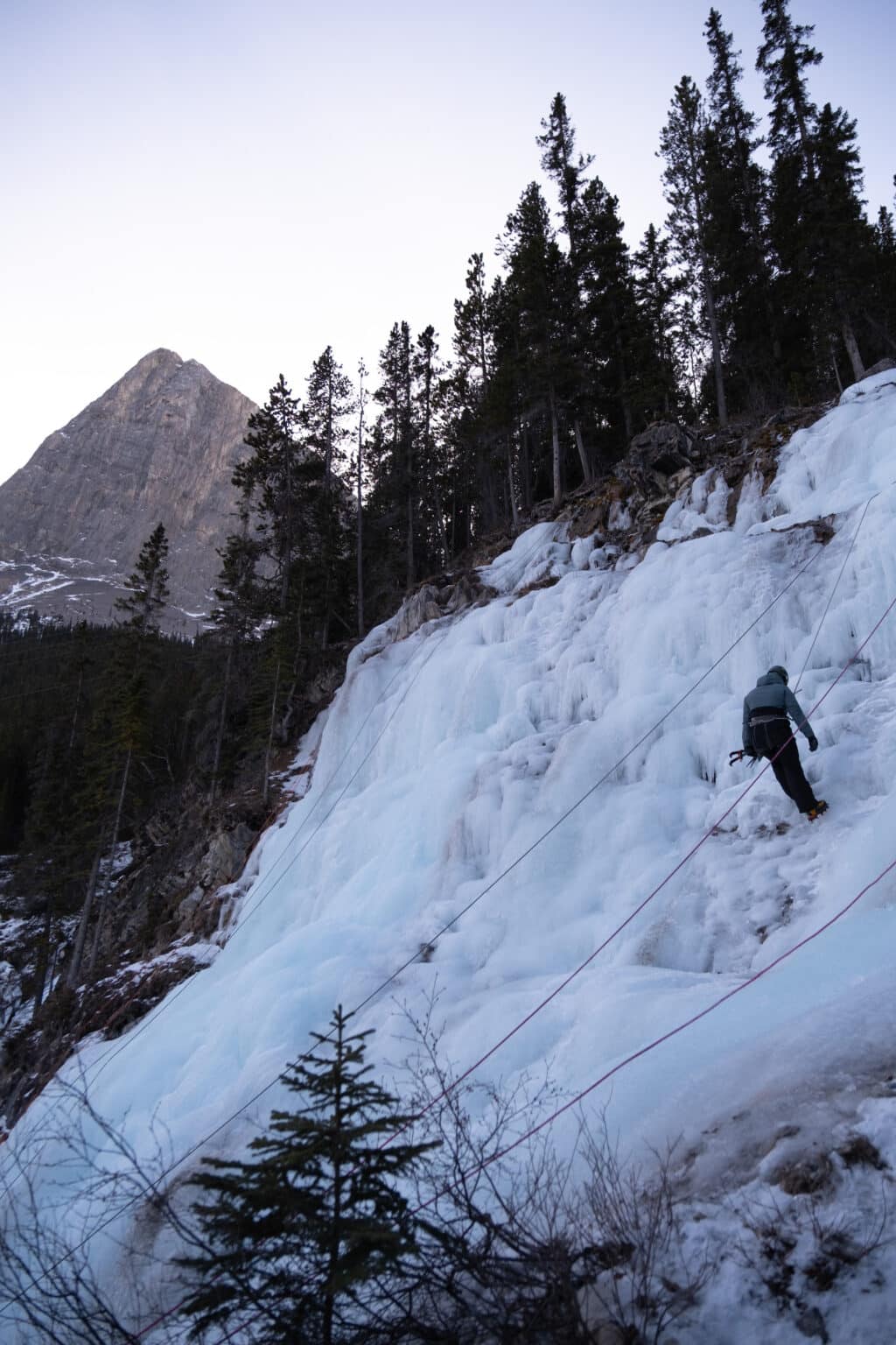 Banff SnowDays Festival: What You Need to Know
