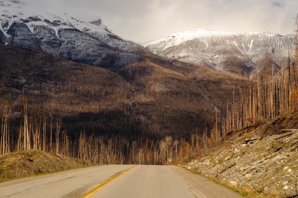 Is Jasper Still Worth Visiting After The Wildfires?