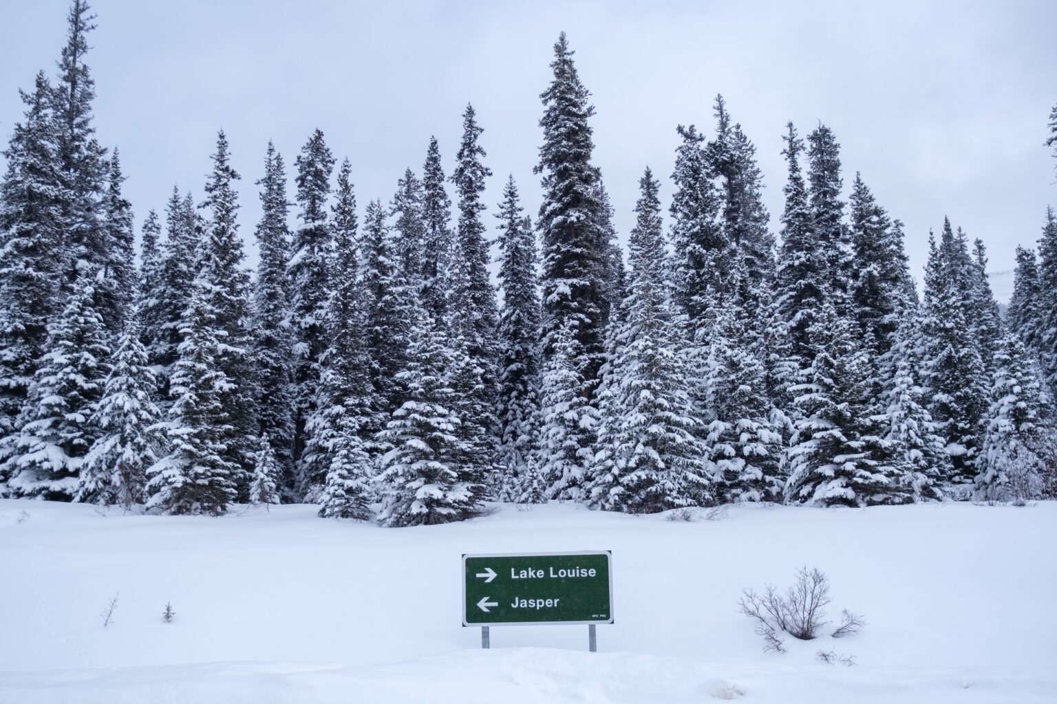 Visiting Banff in January? Here’s All You NEED to Know