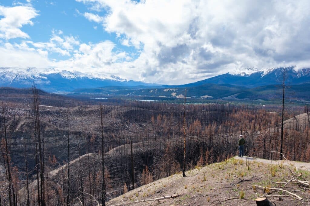 Is Jasper Still Worth Visiting After The Wildfires?