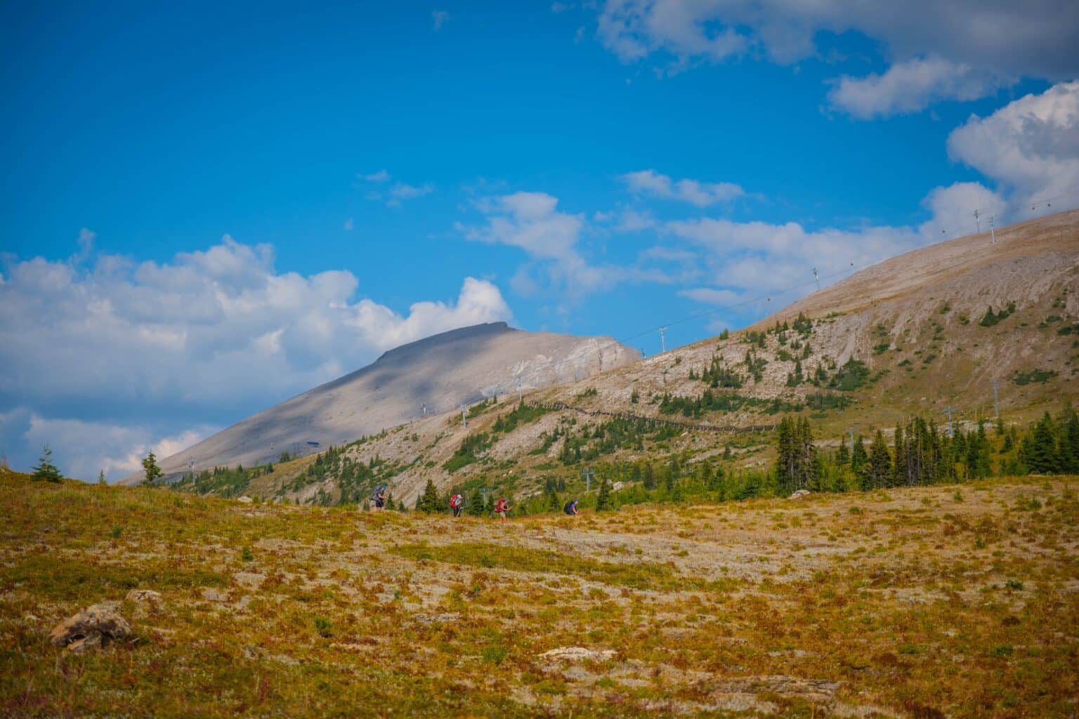 Tips For Visiting The Sunshine Village Summer Gondola