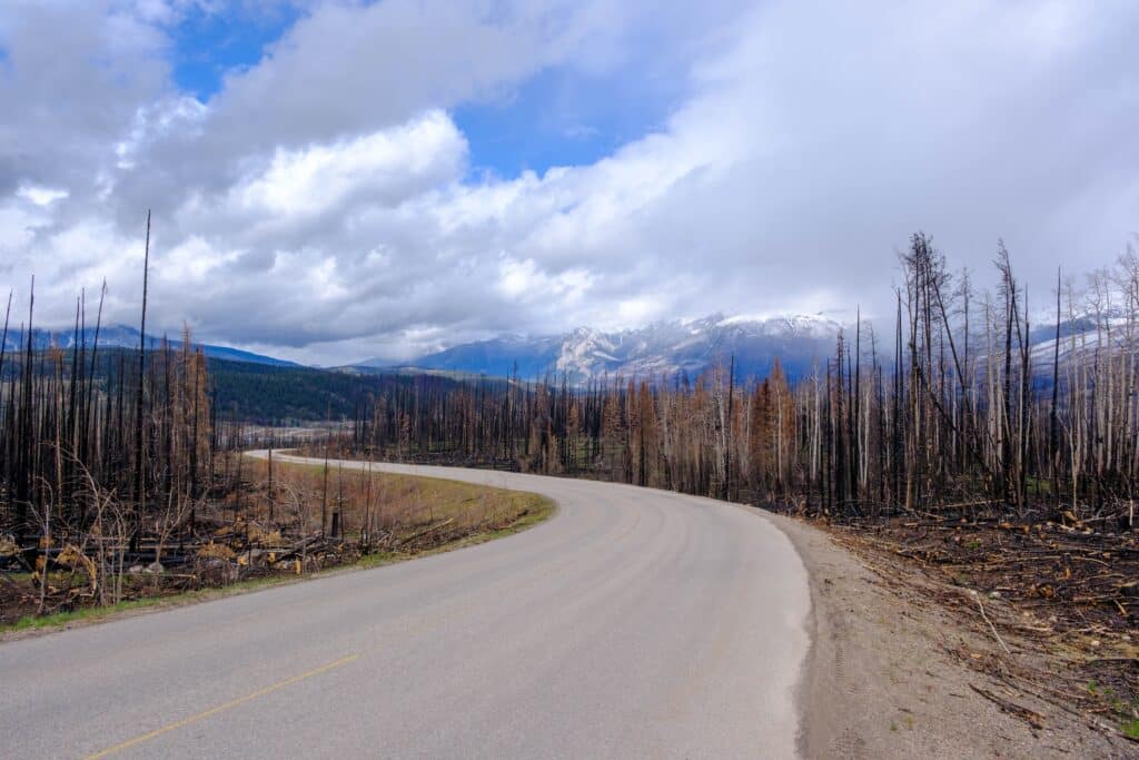 Is Jasper Still Worth Visiting After The Wildfires?